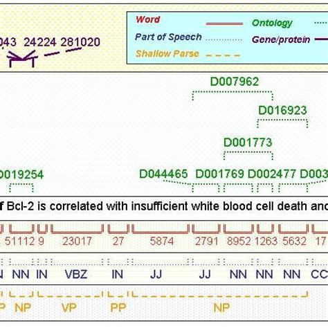 Illustration Of The Annotation Layers The Full Parse Sentence And Download Scientific Diagram