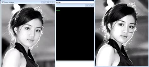 图像识别教程笔记docx图像识别 教学 Csdn博客