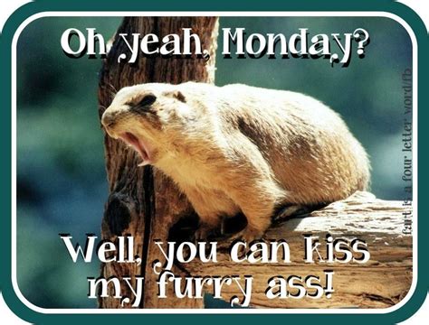 55 Almost Friday Memes When The Weekend Is Right Around The Corner
