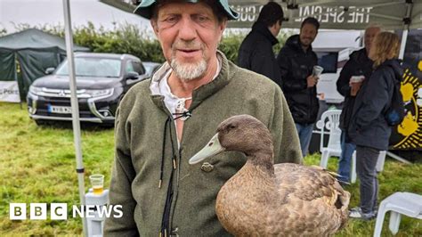 Gillingham Mans Best Friend Is Actually A Duck Bbc News