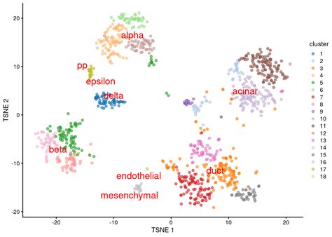 Chapter 8 Cross Annotating Human Pancreas Assigning Cell Types With Singler