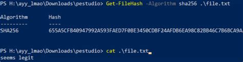 Malware Triage Dissecting Threats To Your Security Hurricane Labs
