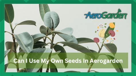 Can I Use My Own Seeds In An Aerogarden Farmer Grows