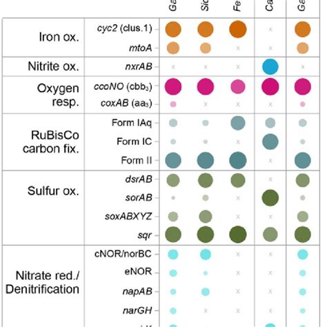 Plot Showing The Percent Of Genomes In Each Genus Group With Genes For Download Scientific