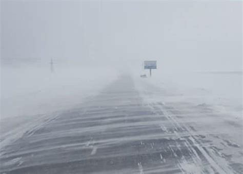 Шороон шуурга шуурч эрс хүйтрэхийг анхааруулж байна Delhii Mn