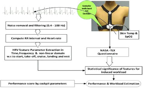 Functional Representation Of Cognitive Workload Analysis For The Pilot Download Scientific