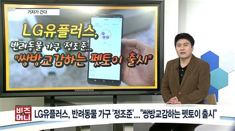 비즈앤머니 Lg유플러스 반려동물 가구 정조준쌍방교감하는 펫토이 출시 Youtube