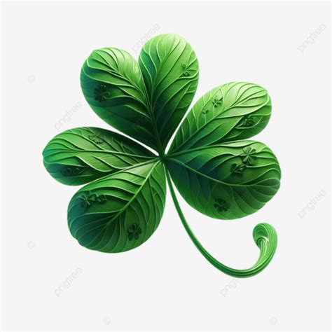 흰색 배경에 토끼풀 네 잎 클로버 흰색 배경에 토끼풀 네 잎 클로버 토끼풀 네잎 클로버 토끼풀 Png 일러스트 및 이미지 에 대한 무료 다운로드 Pngtree