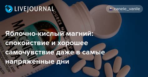 Яблочно-кислый магний: спокойствие и хорошее самочувствие даже в самые ...
