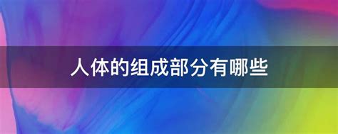 人体的组成部分有哪些 业百科