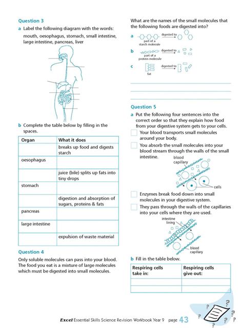 Excel Essential Skills Science Revision Workbook Year 9 Pascal Press