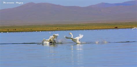 Сангийн далай нуур Өвөрхангай Өвөрхангайн Гайхамшиг