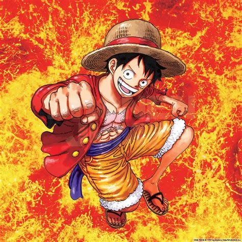 Happy Birthday Luffy Monkey D Luffy One Piece Anime Hot Sex Picture