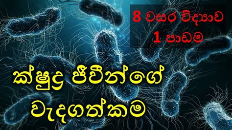 Grade 8 Science Lesson 1 Importance Of Micro Organisms ක්ෂුද්‍ර ජීවීන්ගේ වැදගත්කම Youtube