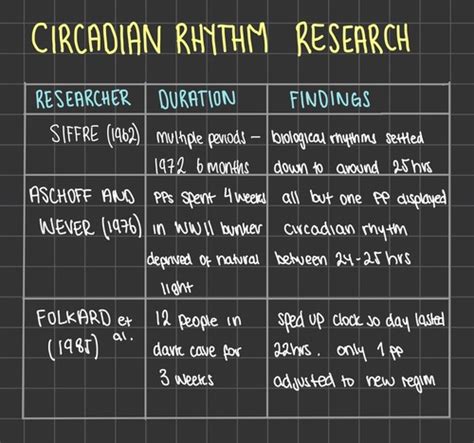Biological Rhythms Circadian Rhythms Flashcards Quizlet