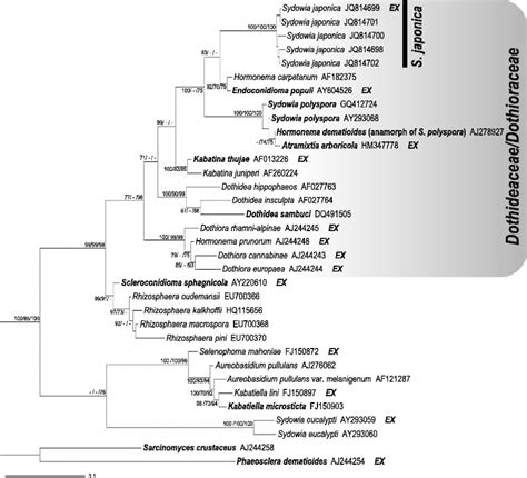 Bayesian Consensus Tree Ln −2623059 Based On Its Data Support