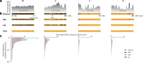 Position Density And Relative Age Of Transposable Elements In The Sex Download Scientific Position Density And Relative Age Of Transposable Elements In The Sex Download Scientific