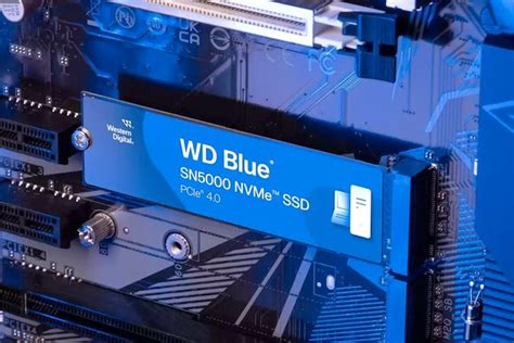 Western Digital Launches Enhanced Budget Friendly Wd Blue Sn5000 Ssds Introduces New 4tb