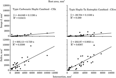 Relation Between Root Area Data Obtained By The Line Intersect Method