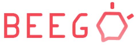 Top Golang Frameworks For Web Development