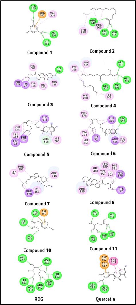 Figure 10 From Gc Ms And Nmr Based Metabolomics And Molecular Docking Reveal The Potential