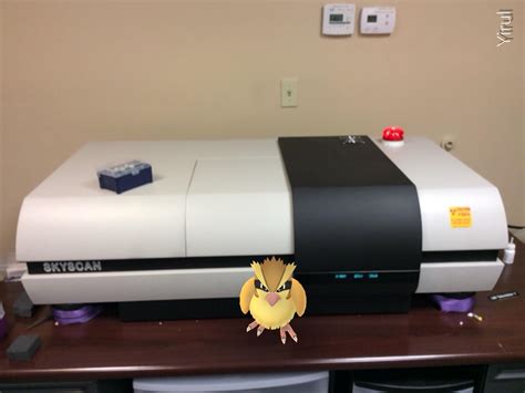 Humor Photo When Ur Bored At The Lab Rpokemongo