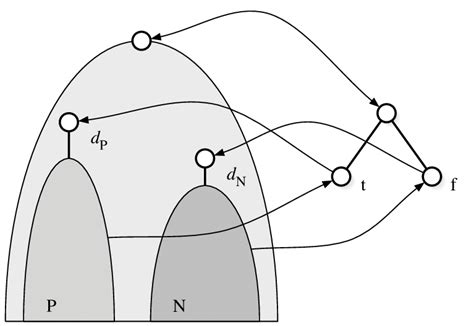 Fig D2 Partition Dune Représentation Download Scientific Diagram