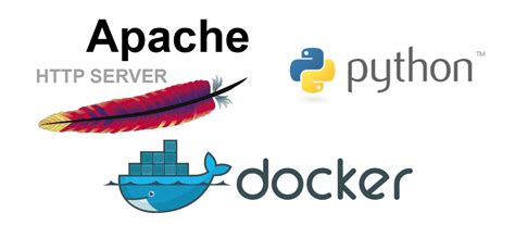 Configuring D Server On Docker Container Setting Up Python