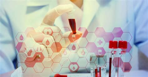 Types Of Biotechnology 4 Main Red Green Blue And White And Others