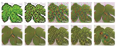 Visualization Of The Output Layers Images After Each Processing Step Of Download Scientific