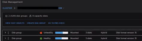 The Unclaimed And Ineligible Disks Section Shows Only A Single