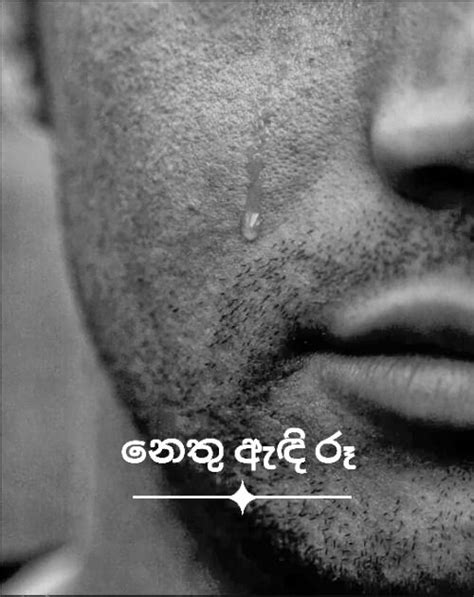 මායාවී නෙතු ඇඳි රූ නෙතුඇඳිරූ තිස්‌ අට වන දිගහැරුම ඊළඟ දිනය සාමාන්‍ය අන්දමින් ගත විය පෙර දිනය