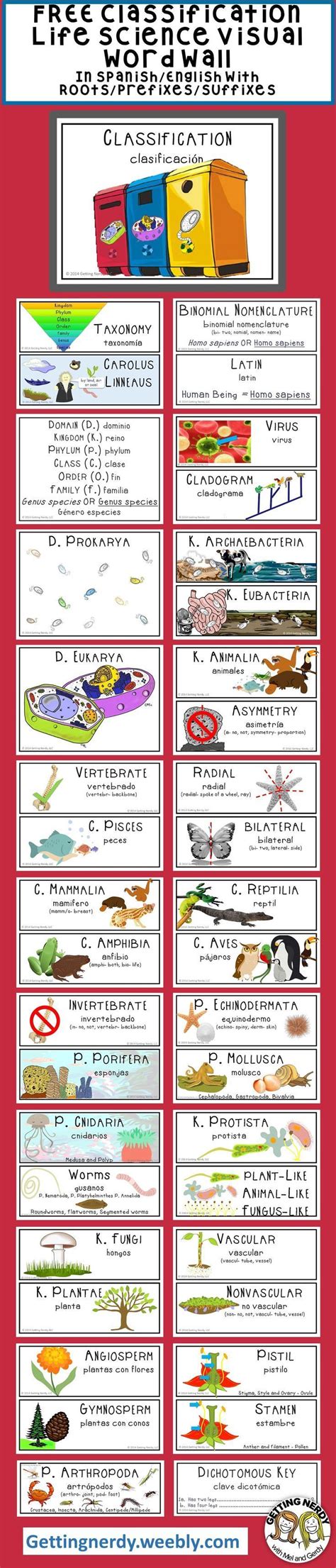 Take Our Life Science Classification Word Wall For A Test Drive For