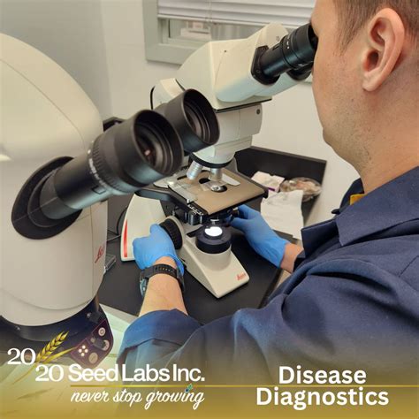 2020 Seed Labs Inc On Linkedin Neverstopgrowing 2020seedlabs Westcdnag