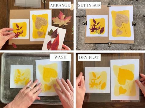Diy Anthotype Solar Printing Kit Artistic Sun Printing Fall Craft Kit