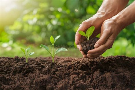 Growth Opportunity Person Plants Seeds Nurturing Potential For Development Stock Illustration