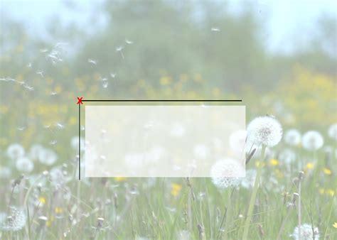 Unwanted Lines In Prints Prints Dont Come Out Right Size Or Color