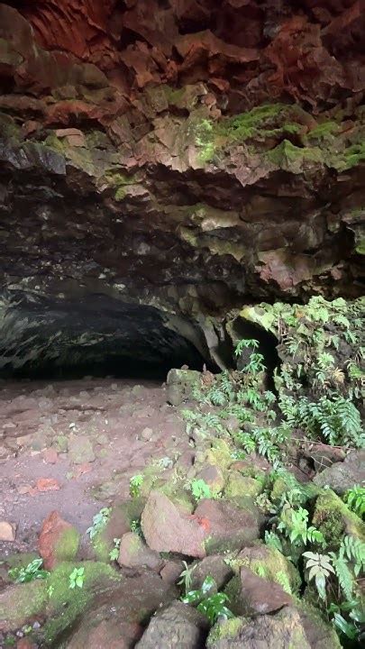 비밀 동굴 안 물 떨어지는 소리 Youtube