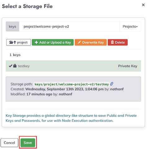 Add And Connect To A Node Through The Runner