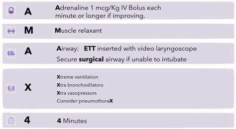 AMAX4 Algorithm LITFL Anaphylaxis