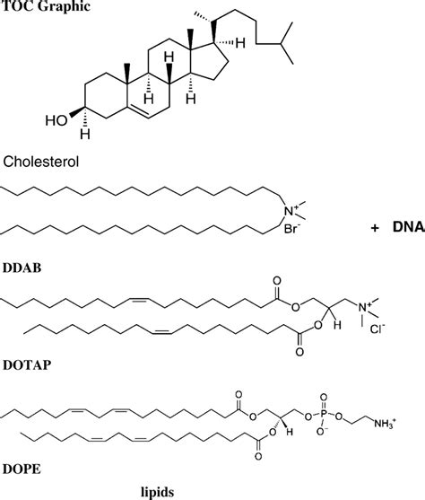 Scheme Structures Of Lipids Download Scientific Diagram