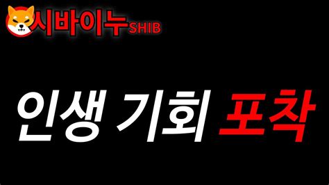 🔵시바이누🔵인생 기회 포착 지금 투자하면 인생이 바뀐다 코인시세 비트코인하는법 가상화폐 비트코인 비트코인시세 이더리움시세 리플시세 리플전망 시바이누코인