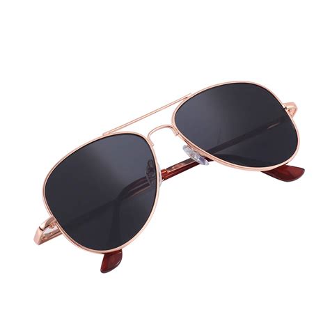 Which Is The Best Ninja Gadgets Cwc Home Life Collection