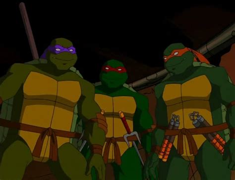 Tmnt 2003 Mikey Raph And Donnie 2 By Hedwieapotter On Deviantart