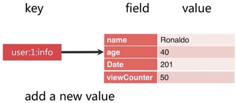 慕课网 一站式学习redis从入门到高可用分布式实践 第2章 Api的理解和使用 Hash Herissonpan 博客园