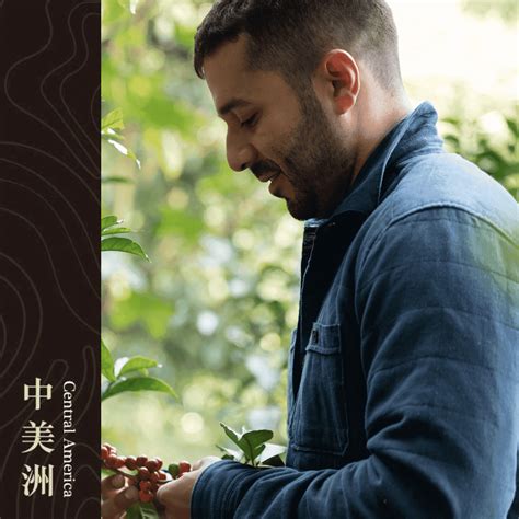 巴拿馬 伊萊達莊園 小驢 給夏品種 水洗處理 上登國際