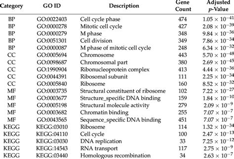 Top 5 Significantly Enriched Go Terms And Kegg Pathways Of Degs Download Scientific Diagram