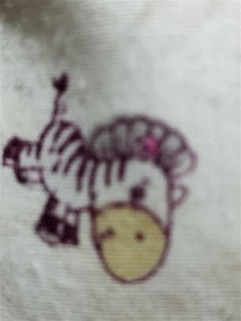 Zebra R Notinteresting