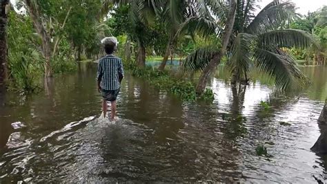 শুধু পানি আর পানি চেনার উপায় নাই বাড়ি ঘর ভালো নেই লক্ষ্মীপুর রামগঞ্জবাসী Youtube