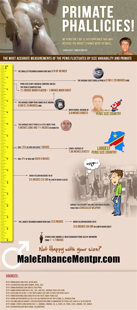 Phallic Size Comparison With Facts And Measurements Youll Be Surprise What…